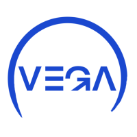 Vega Security – Vigilance, Excellence, Guardianship, Accountability